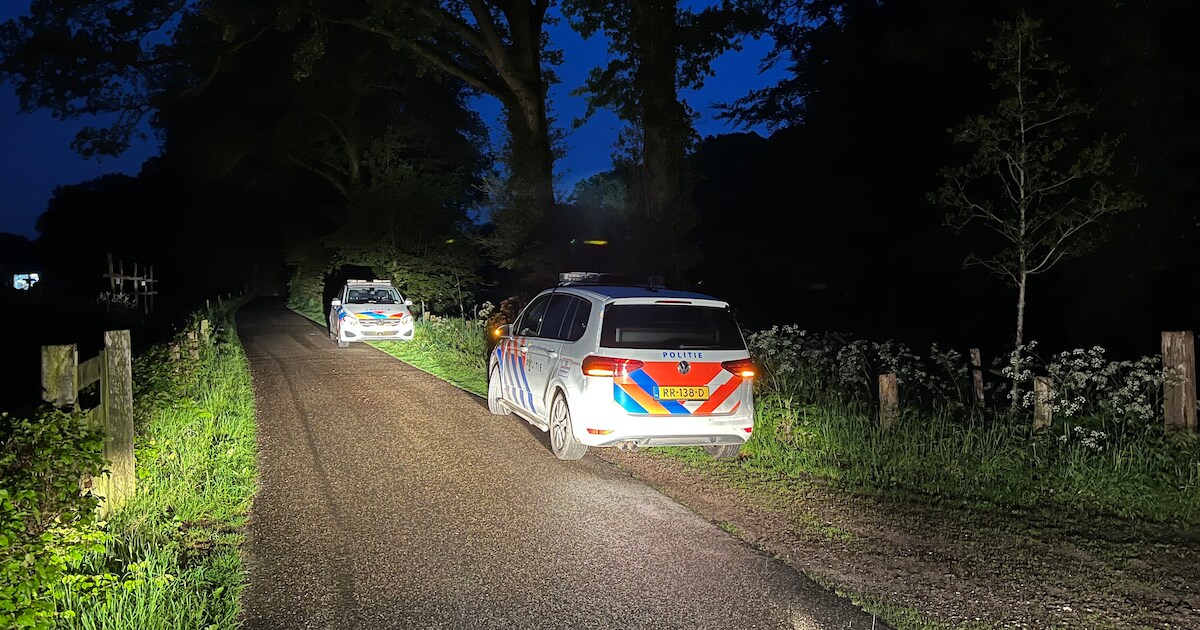 Overleden persoon in bosperceel in Olst, politie na onderzoek: ‘Geen ...