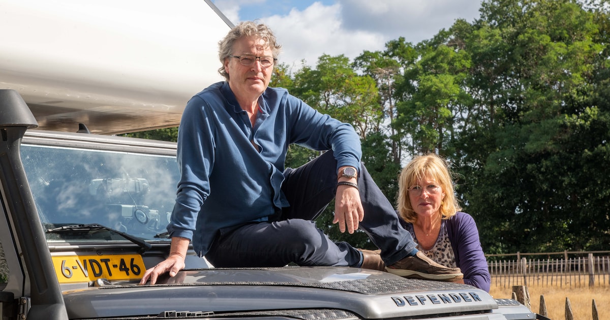 Angst voor de wolf neemt toe in Uddel: ‘De vraag is of dit zijn ...