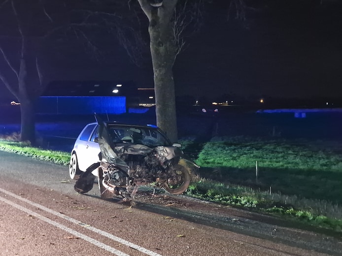 Automobilist knalt hard tegen boom in Oldemarkt | Steenwijkerland | destentor.nl