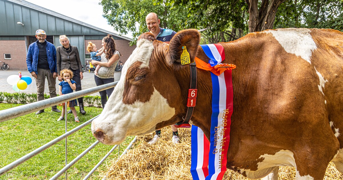 Boer Bert-Jan in Zwolle is ‘knettertrots’ op tientonner Evelien 43 ...