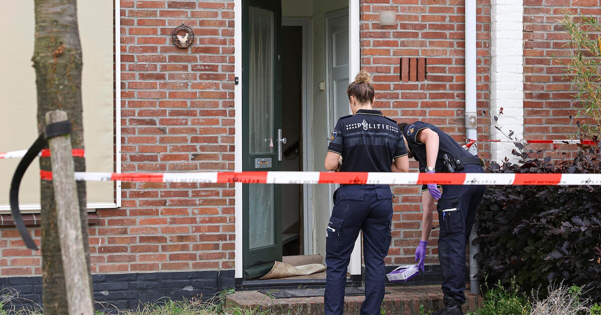 Bewoner komt thuis en ziet barst in het raam en ravage in de gang ...