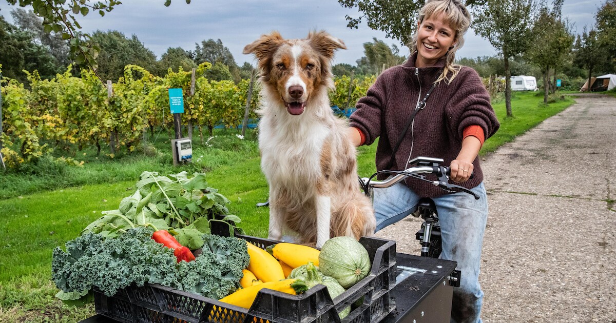 Anna (32) zegt kantoorbaan op om boer te worden in Twello: ‘Minder geld ...