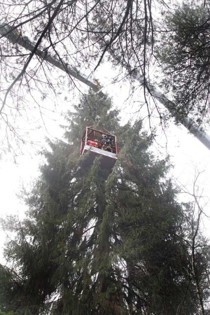 Reusachtige kerstboom voor ziekenhuis | Apeldoorn | destentor.nl