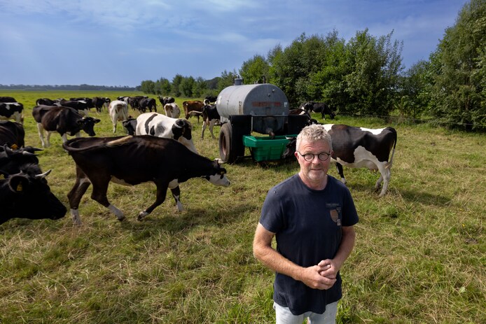 De koelste koeien staan in het weiland van Gerard: ‘We hebben de veearts maar heel weinig nodig ...