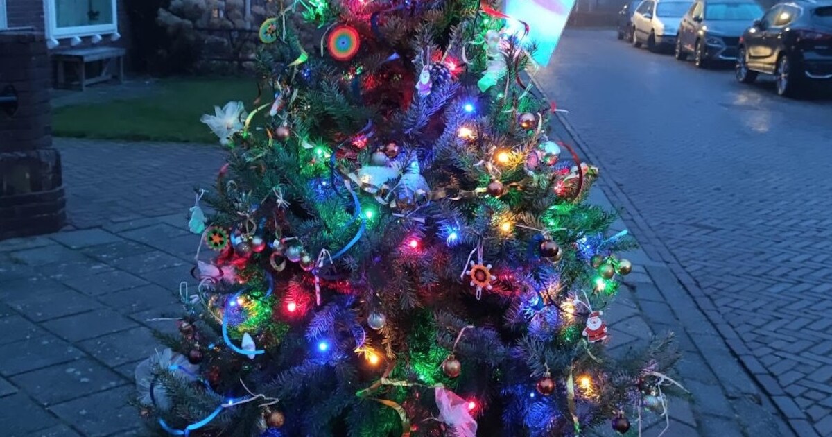 Wijkteam Noordveen Zutphen plaatst kerstbomen in het wild en nodigt ...