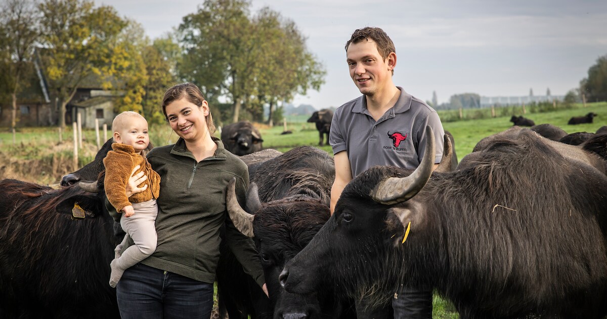 Emma, Olivier en hun buffels nemen bijzondere boerderij aan de IJssel ...