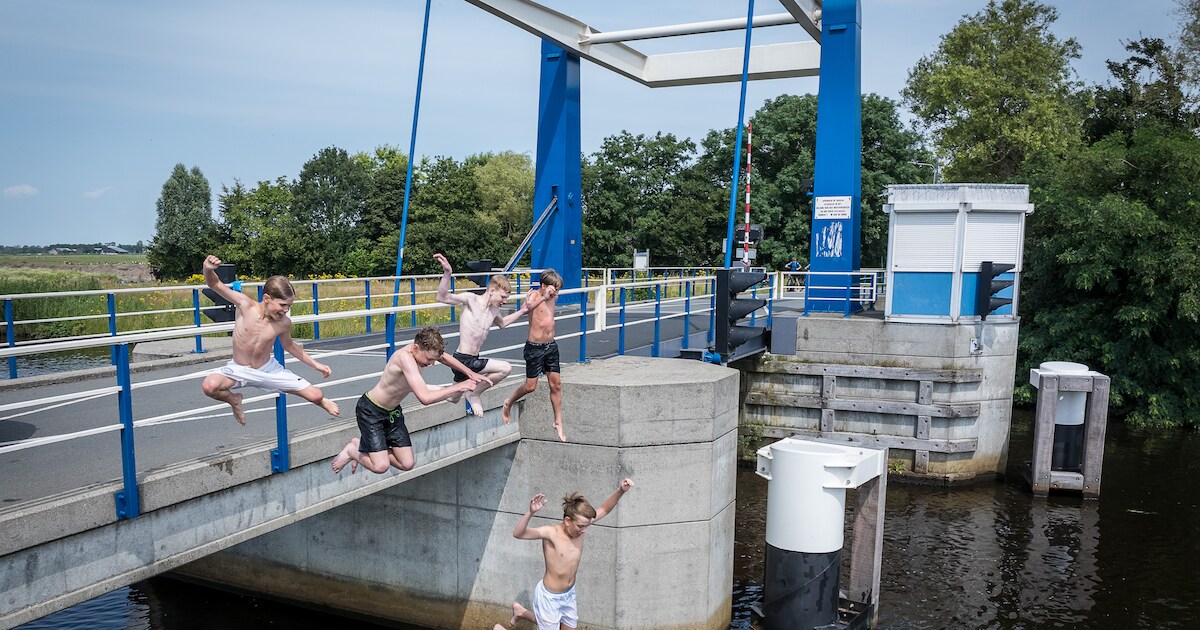 Vanaf een brug het water in springen? Daar staat dikke boete op én er ...