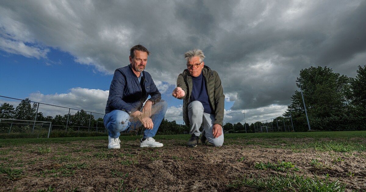 ‘Knollenvelden’ met molshopen: gebruikers sportpark in Kampen snakken ...