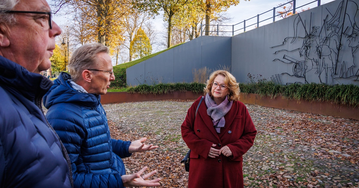 Steenwijk wil binnenstad mooier maken: meer groen, minder leegstand en ...