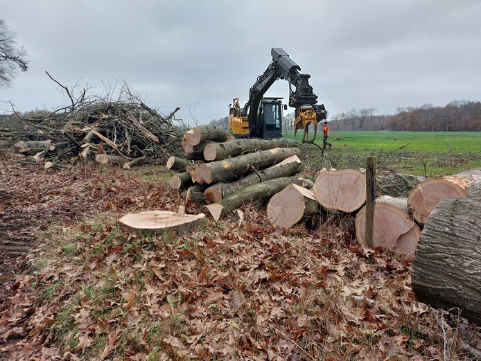 Politie legt bomenkap door boer in Gorssel stil: ‘Niet de boer maar de ...