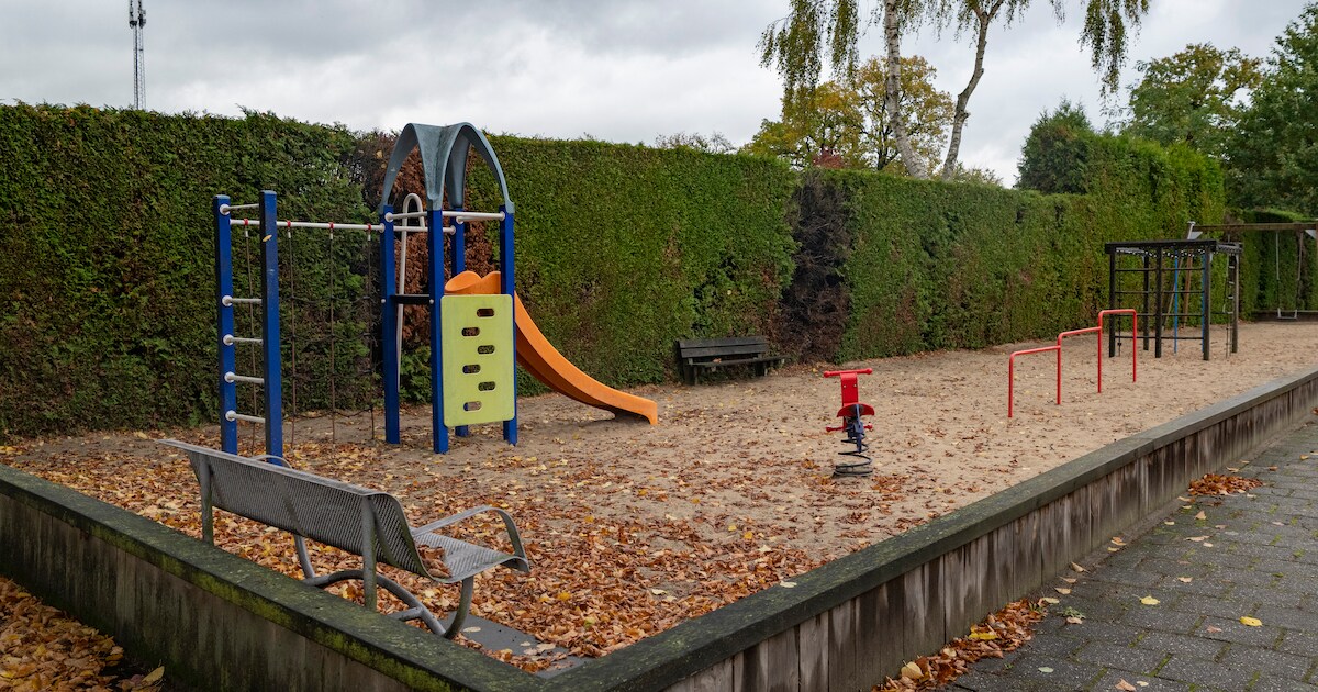 Van rotte coniferen naar frisse klimop: deze speeltuin in Heino krijgt ...