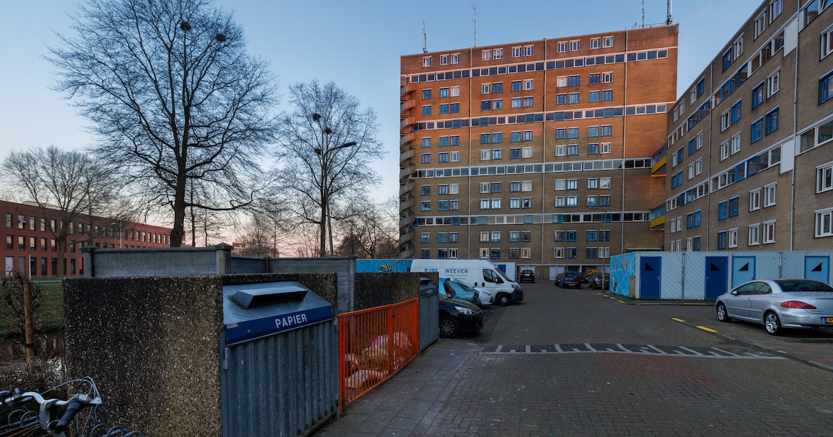 Dumpingen en ratten(pis): afvalkooi aan Wortmanstraat in Kampen gaat ...