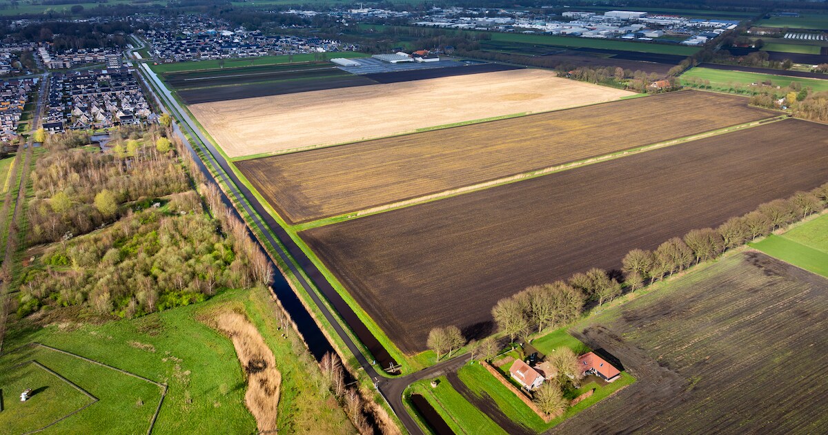 Streep door verplaatsing sportpark Dedemsvaart: ‘Een ingewikkelde ...