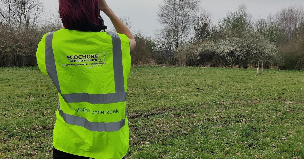 Mensen in gele en oranje hesjes op gekke tijdstippen op straat in ...