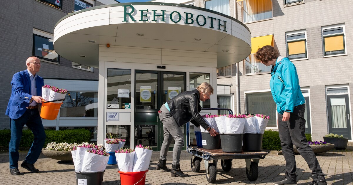 Tulpenvrouwtjes uit Wapenveld fleuren de dagen op in 'nare tijd ...
