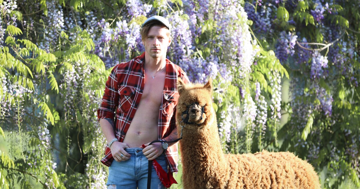 Mike Piek (27) uit Kampen schittert in allereerste Alpaca en Hunk ...