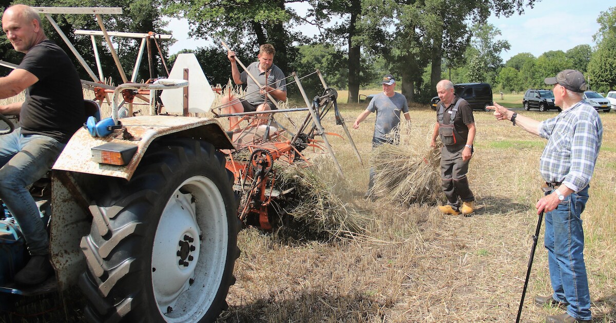 Holthoner oogstdag viert jubileumeditie: oude ambachten, agrarische historie en ‘Beat Bommen ...