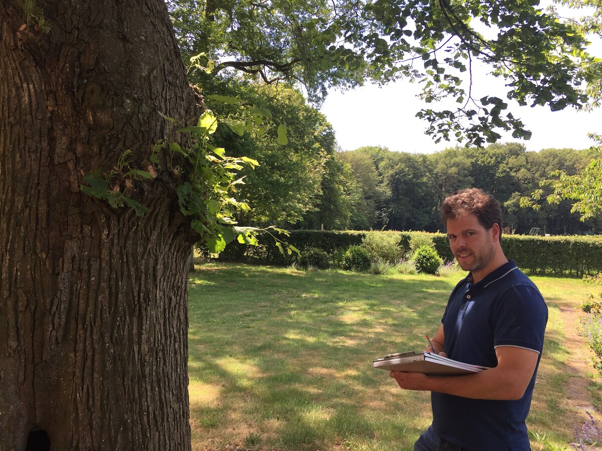 Veel eikels in je tuin? Dit moet je doen | Foto | destentor.nl