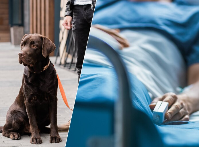 Groep vrienden in België krijgt ruzie met jongeren die vuurwerk naar ...