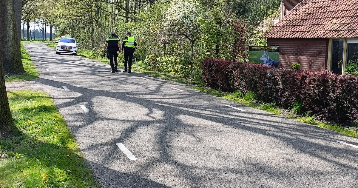 Hond overleden bij aanrijding met motor in Neede | Berkelland | De ...