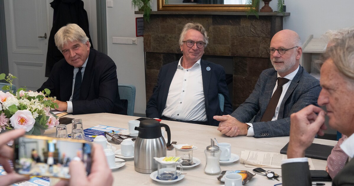 Inwoners mogen het nu zeggen: moet Brummen het huwelijksbootje in met ...
