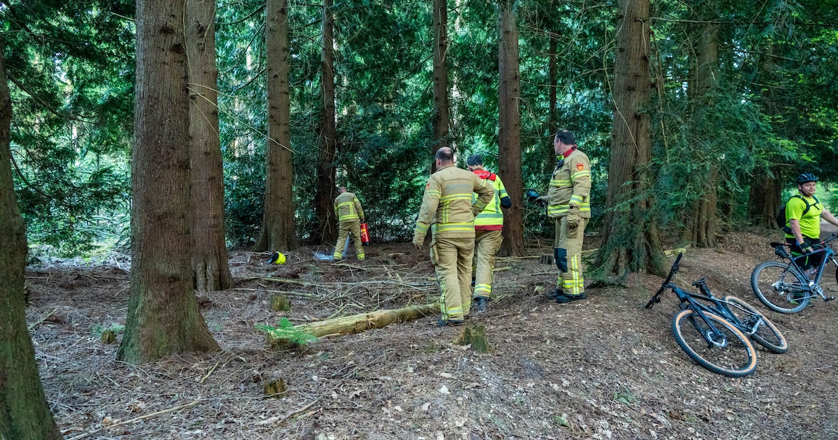 Beginnende bosbrand in Putten snel ontdekt | Regio | De Stentor.nl