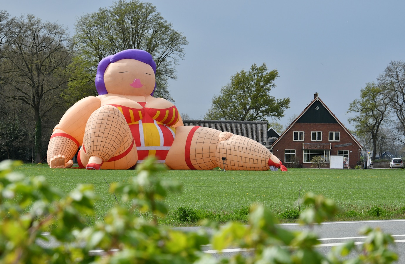 Reusachtige opblaaspop in weiland voor jarige Marieke (50): ‘We wilden ...