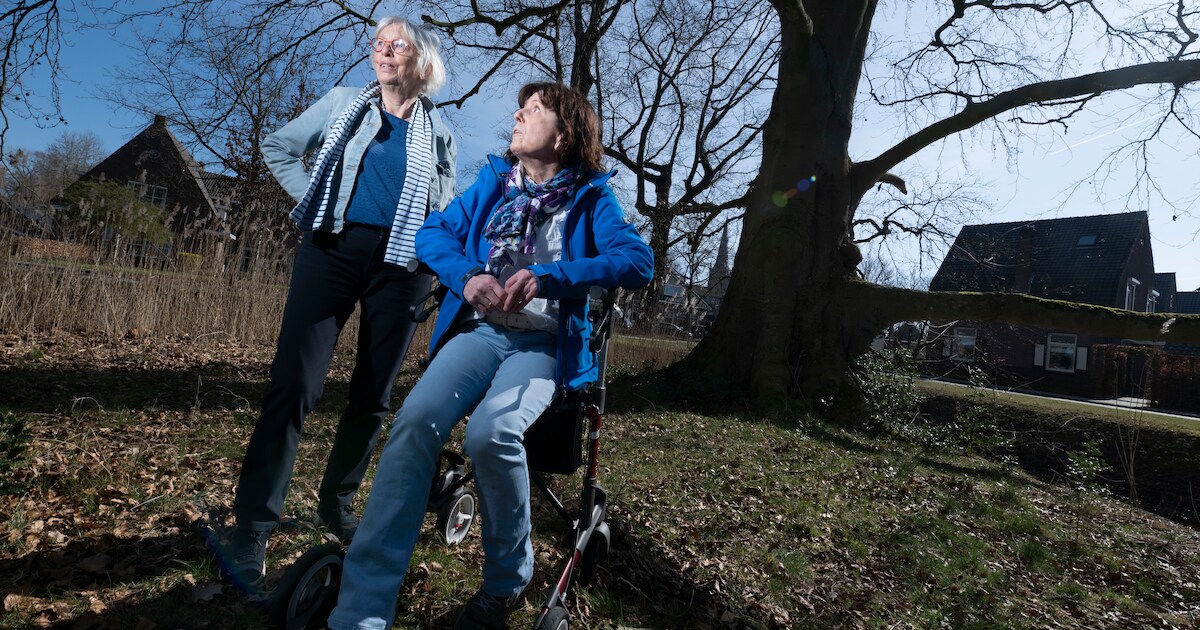 Reni en Ine kennen álle bijzondere bomen in Raalte: ‘Deze boom ...