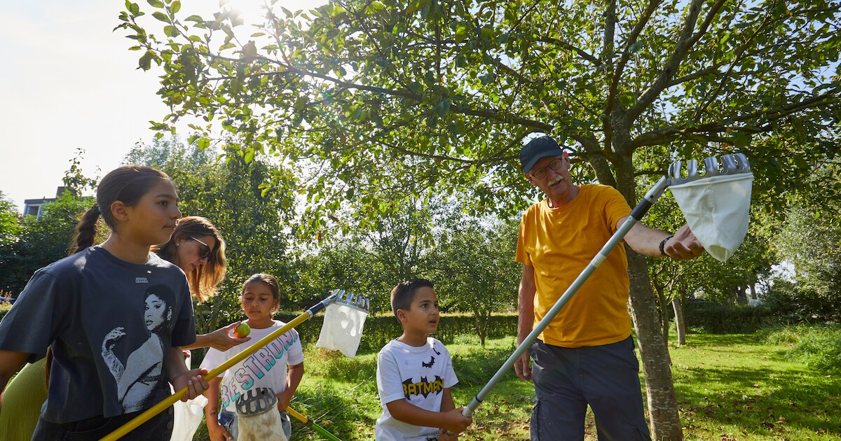 Nieuw mini-festival moet Zutphense Zuidwijken ‘kleiner’ maken: ‘Dit ...