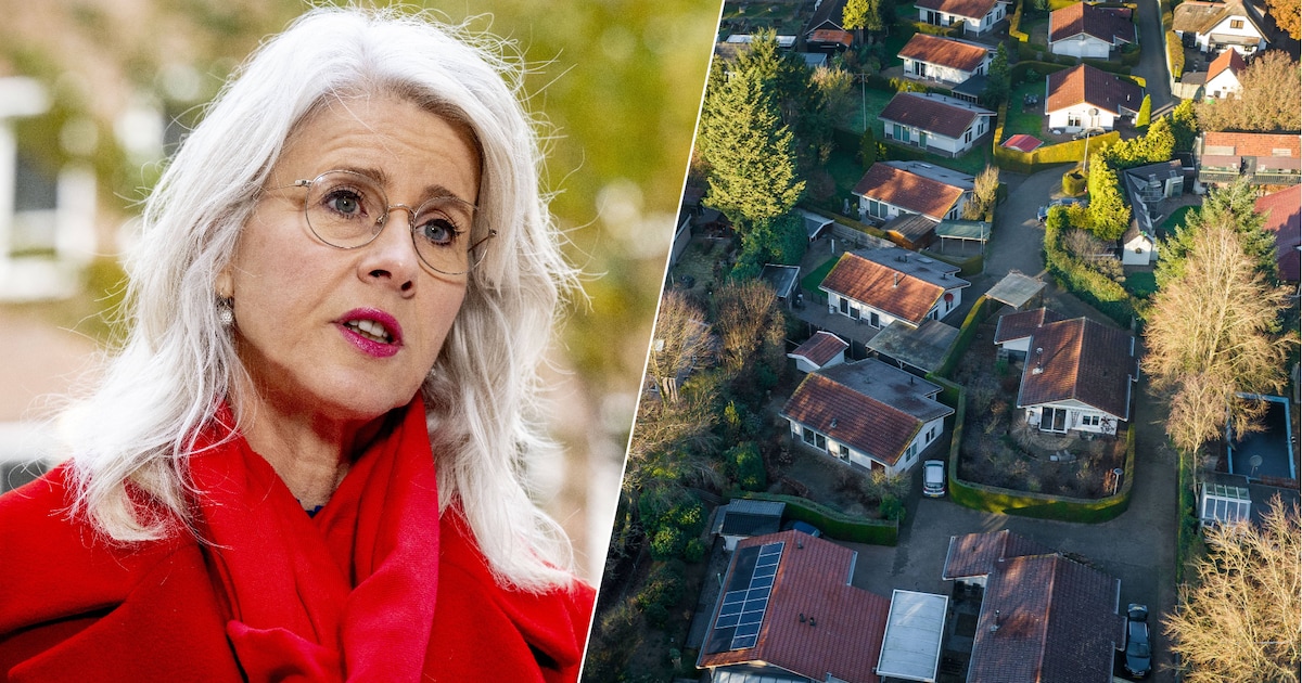 Minister Keijzer botst met gemeenten over vakantieparken: vijf cruciale ...