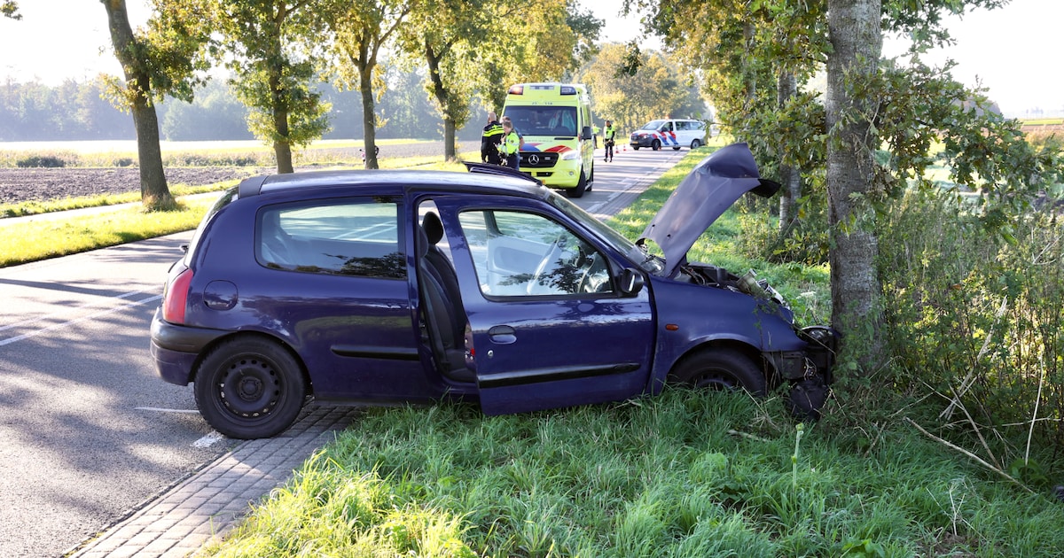 Auto botst bij Bant tegen boom, inzittenden gewond naar ziekenhuis | Noordoostpolder | De Stentor.nl