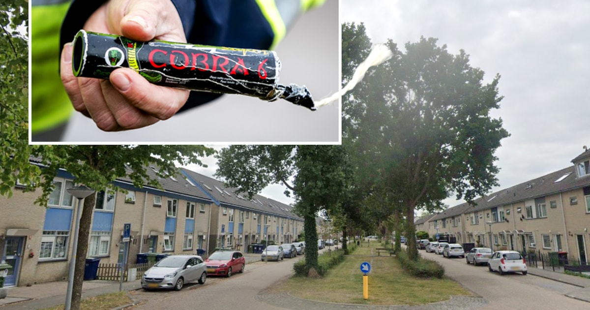 Liet Lesley (19) uit Almere zich misbruiken toen hij een aanslag ...