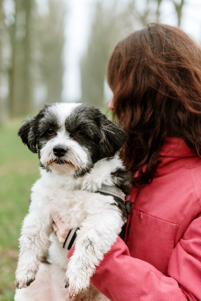 Sylvia (30) heeft na lange worsteling euthanasie aangevraagd: ‘Ik denk dat niemand écht dood wil ...