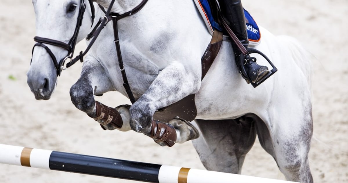 Springruiter Schuttert pakt hoofdprijs van €66.000 in Hickstead | Meer ...
