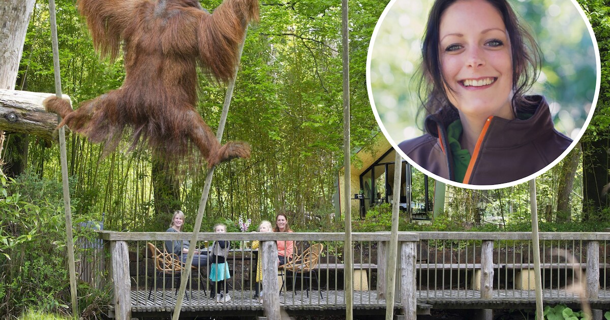 Apenheul Apenheul zoekt huis-tuin-en-keukenmaterialen om speelgoed van ...