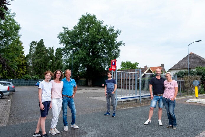 Buren vangen bot met protest tegen kap monumentale eik: ‘We gaan met z ...