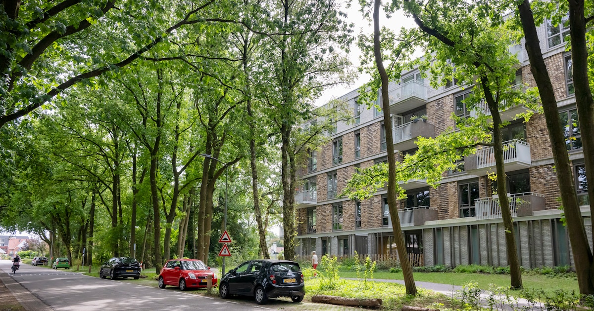 Omwonenden van parkeerplek verdreven door nieuwbouw: ‘Het begint hier ...