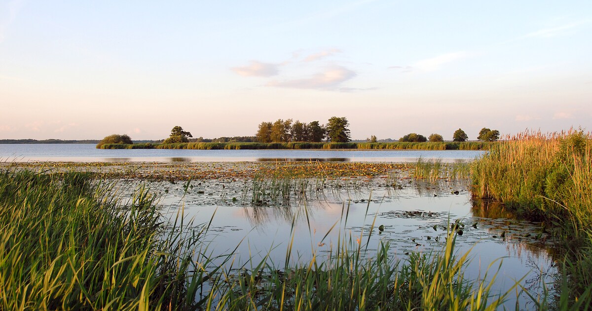 Bekende natuurfotograaf neemt publiek met lezing mee naar de Wieden ...