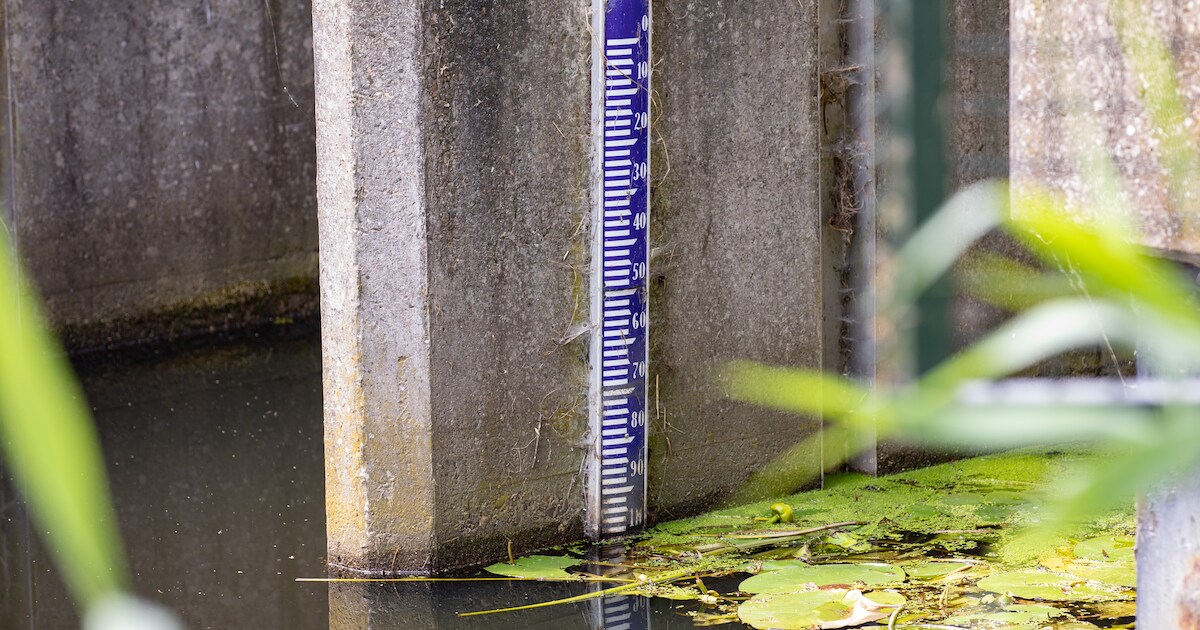 Waarom het een flink risico is om tijdens droogte water uit een sloot ...