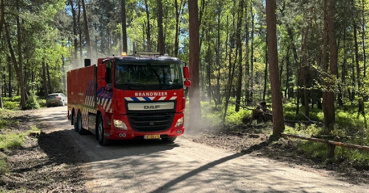 Flinke brand in bosgebied bij Wenum-Wiesel | Regio | De Stentor.nl