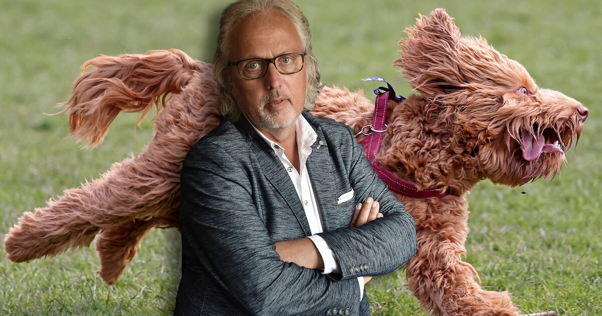 Een stil bos om zeven uur ’s ochtends is een prima plek voor rare hoge ...