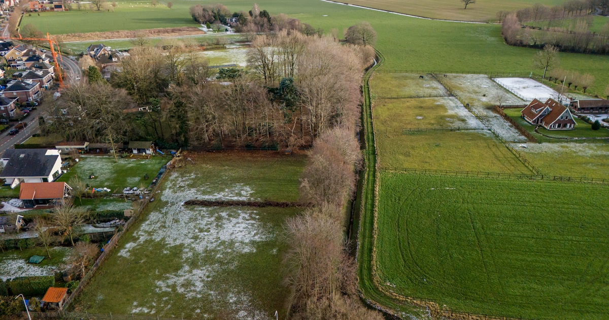 Kou is uit de lucht voor huiseigenaren Buurserstraat: ‘We hebben er een ...