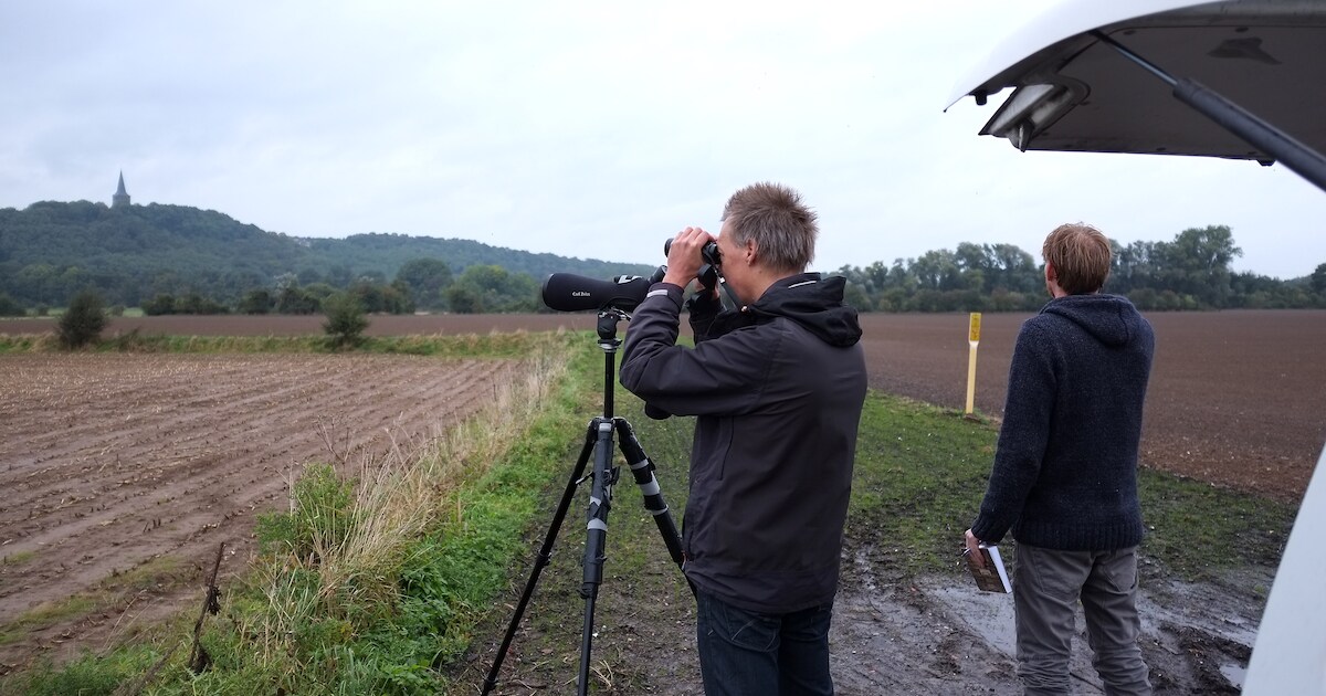 Rietbroekwandeling aan beide zijden van de grens | Bronckhorst | De ...