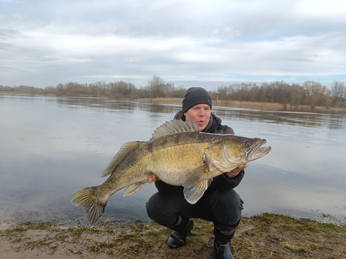 In de IJssel ving Sander een bijzonder grote snoekbaars, maar er zijn ...