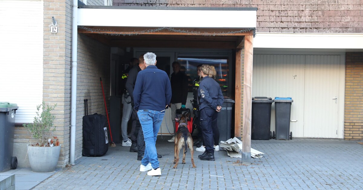 ‘Handel in harddrugs onder naam God’s Delivery’: politie pakt 6 mensen op in Almelo | Almelo ...