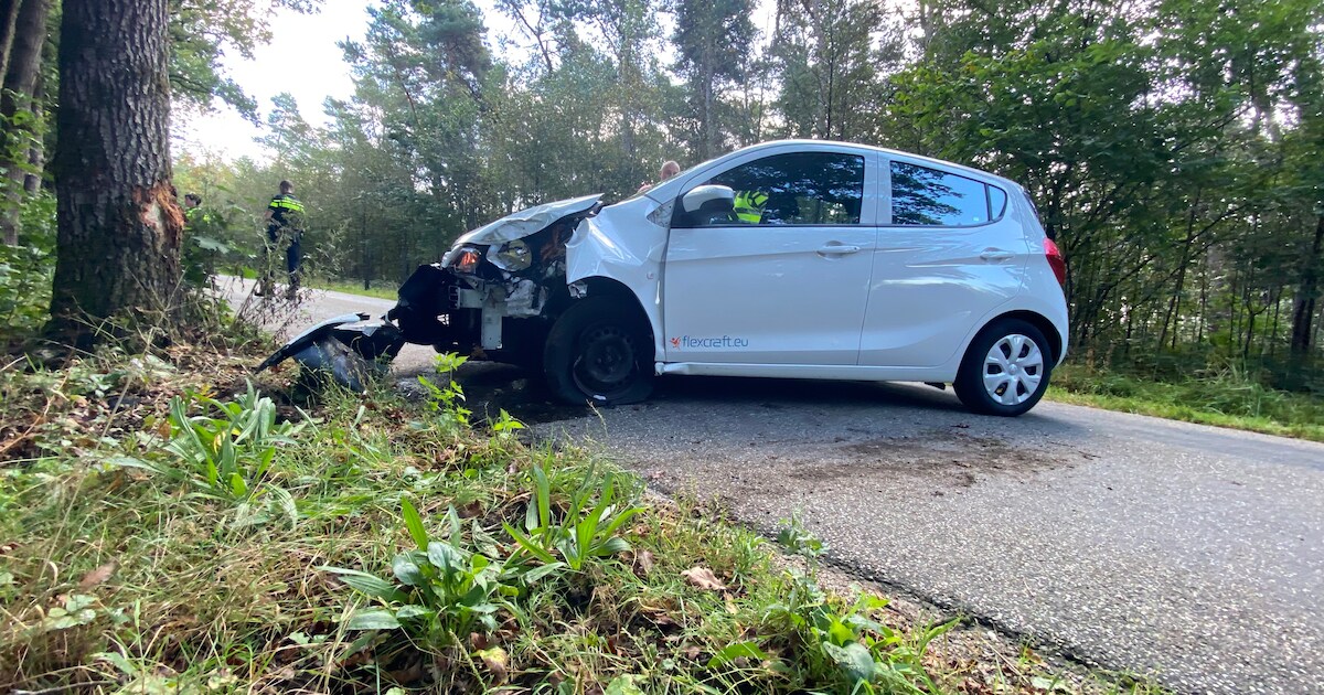 Automobilist verliest controle over het stuur en botst op boom langs de weg in Uddel | Apeldoorn ...
