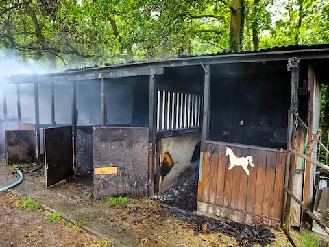 Aangehouden man na brand in Apeldoornse ponystal zat dag eerder ook al ...