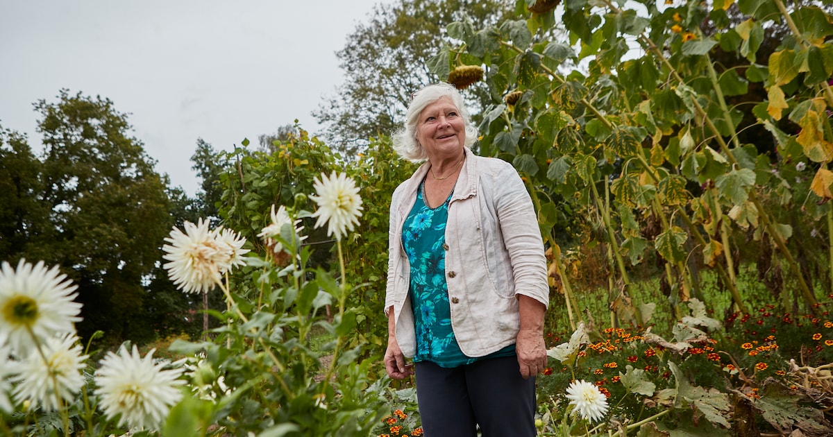 Wie stoot Anneke van de troon? In Lochem zoeken ze opnieuw naar de ...