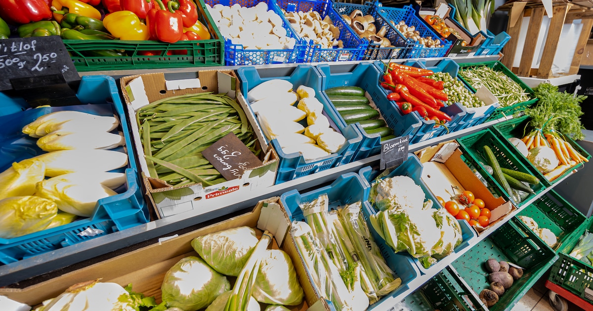 Stelling | Verplicht winkels om ook minder mooie groente en fruit te ...