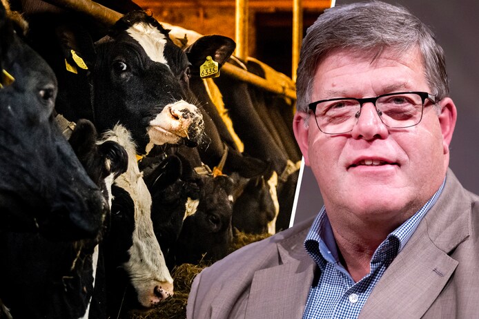 PAS-melders niet op tijd gelegaliseerd? Dan komt de stichting van Jan ...